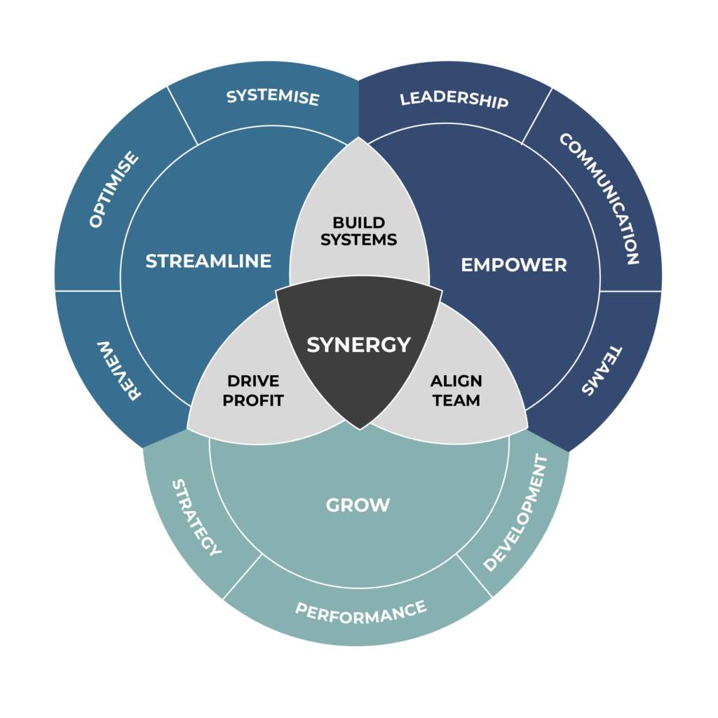 About Us – Synergy Systematics